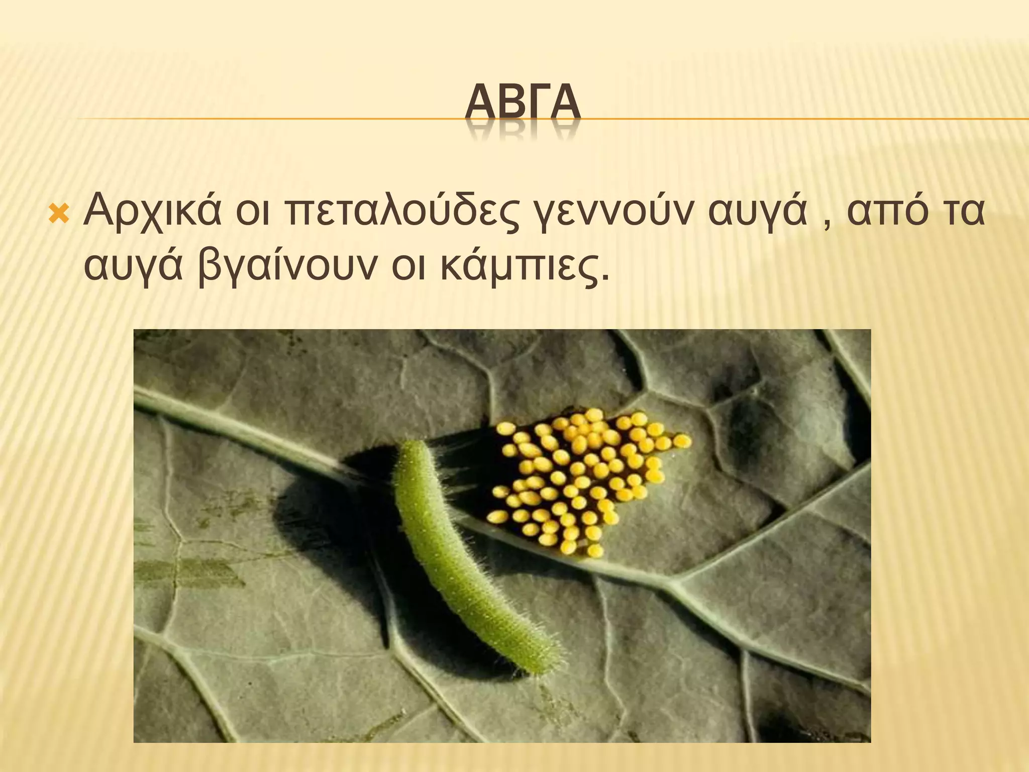 Lester goutieres 5612_gloria_damoulianou_5613 | PPTX