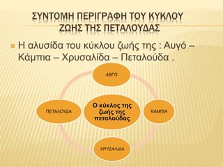 Lester goutieres 5612_gloria_damoulianou_5613 | PPTX