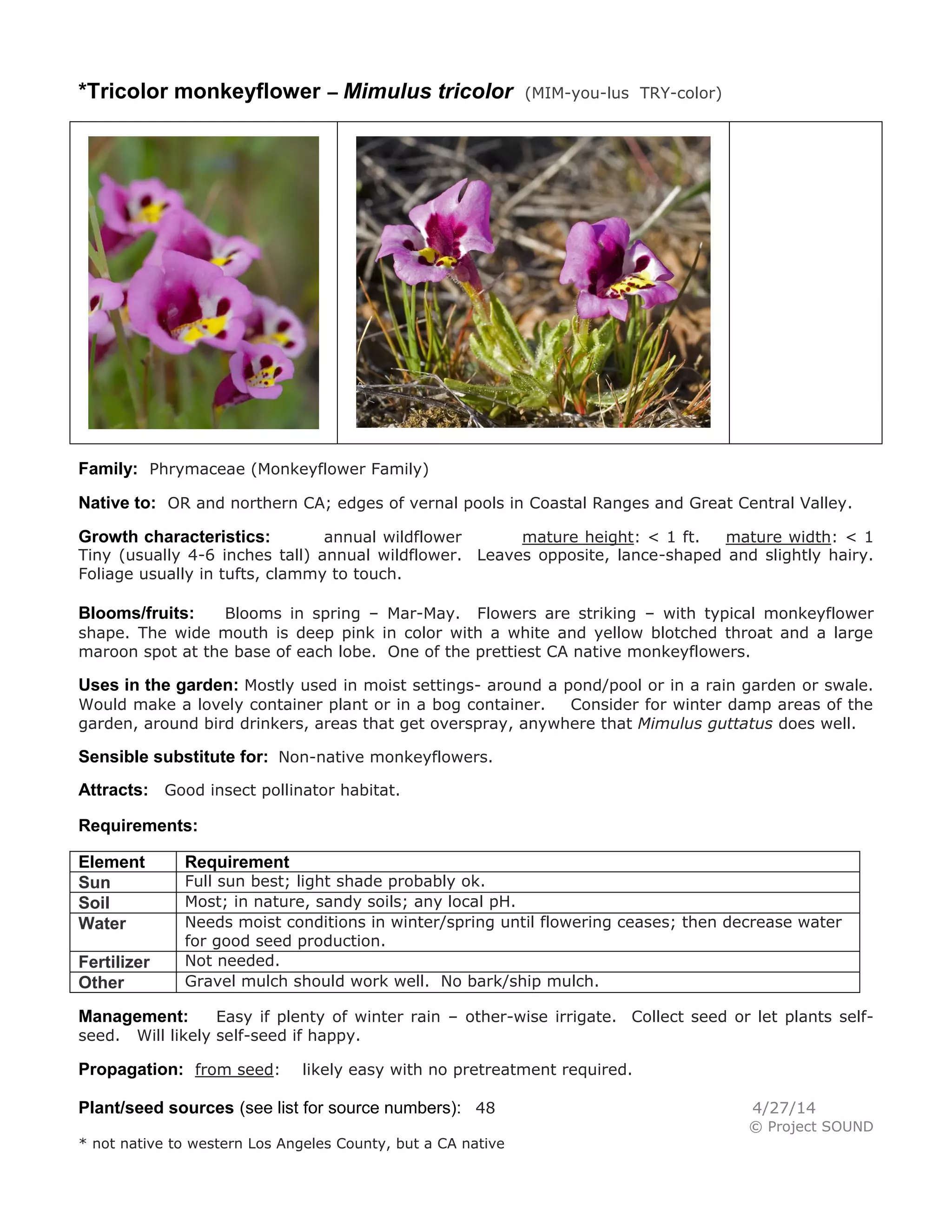 Lester rowntree talk gardening sheets | PDF