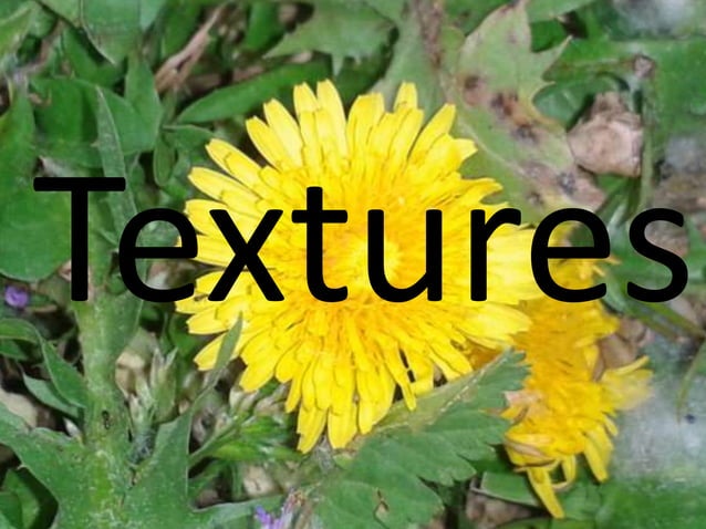 Les textures | PPT