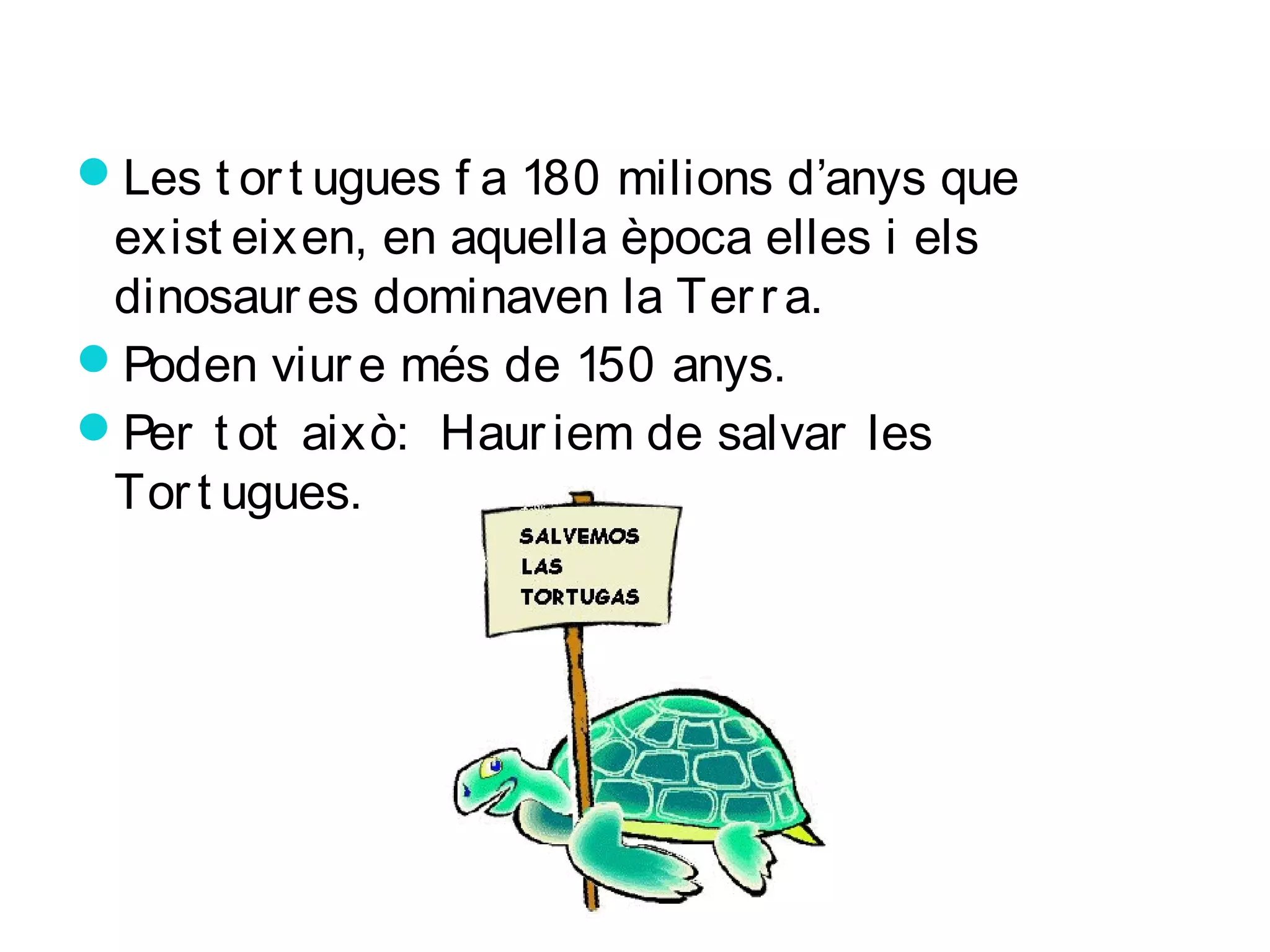Les tortugues, Jan Montagut | ODP