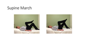 Le supine samples | PPT