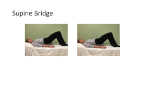 Le supine samples | PPT