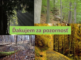 Lesy na Slovensku | PPT