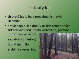 Lesy na Slovensku | PPT