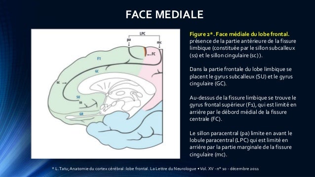 Le syndrome frontal