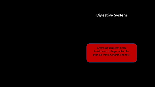 general academic strand. digestive system | PPTX