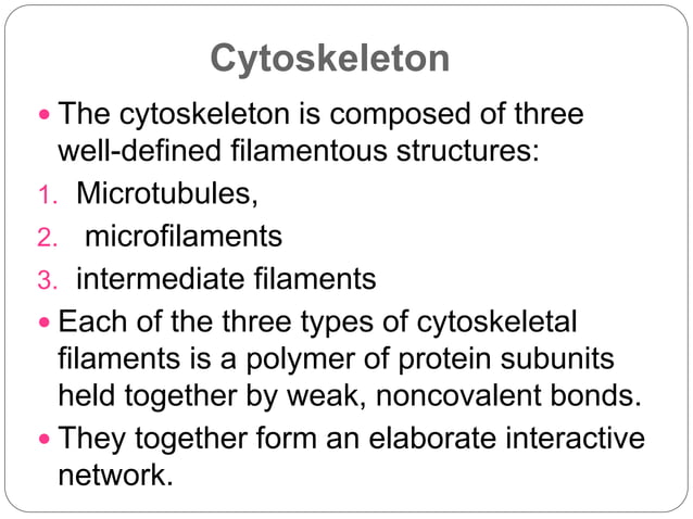 cytoskeleton (Microtubules, microfilaments intermediate filaments) | PPT