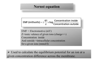 Letcture 39 electrical potential i | PPT