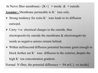 Letcture 39 electrical potential i | PPT