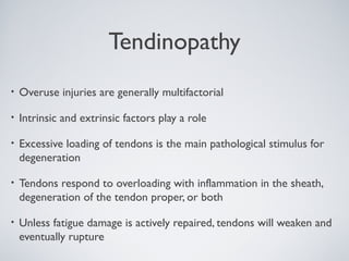 Lower Extremity Tendinopathies in Sports | PPT