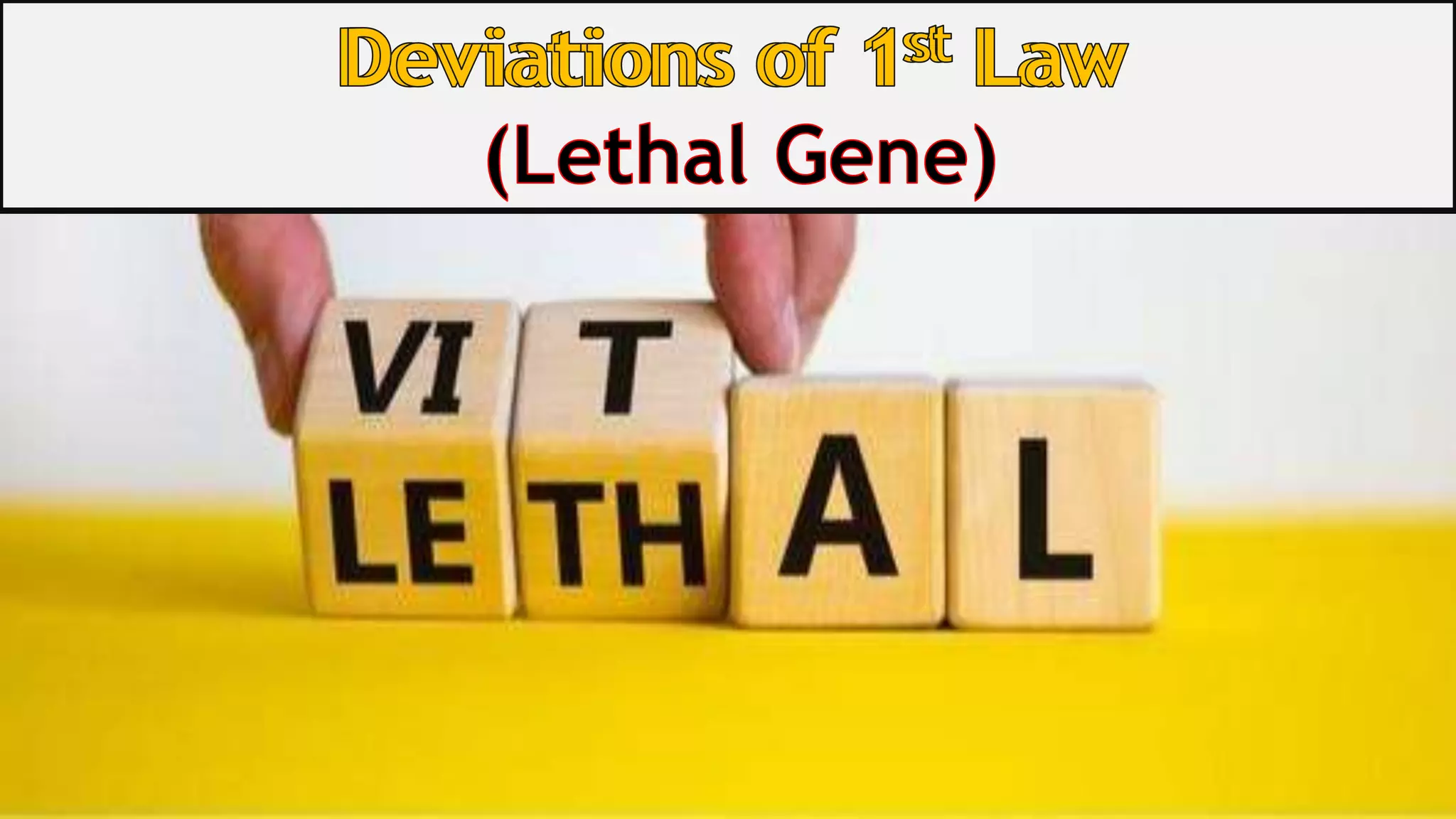 Lethal Gene.pptx