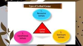 Lethal Gene.pptx
