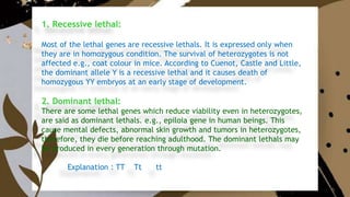 Lethal Gene.pptx