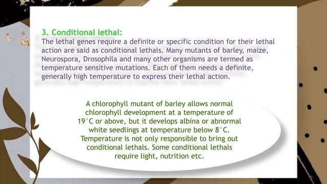 Lethal Gene.pptx | Genetics | Science