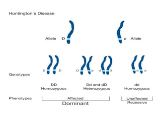 Lethal alleles | PPTX
