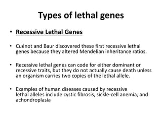 Lethal alleles | PPTX
