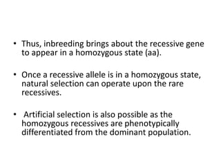 Recessive Allele Example