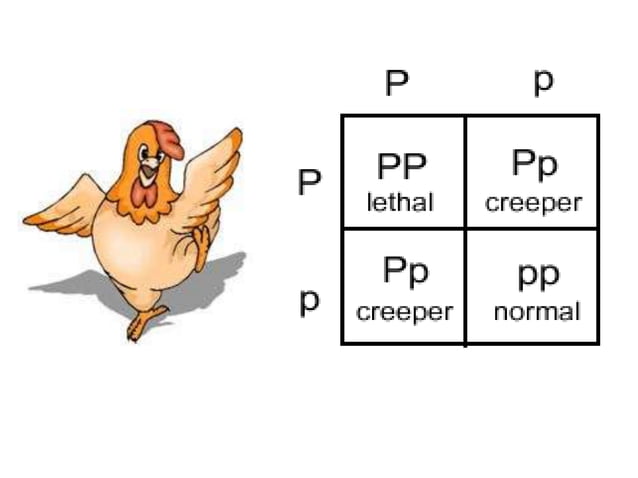 Lethal Genes And Gene Therapy Ppt 3095