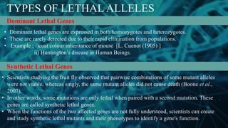 Lethal genes | PPTX