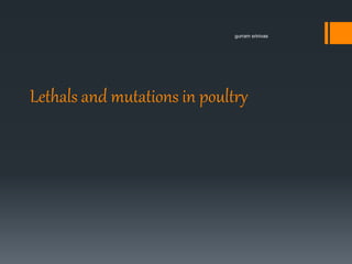 Lethals and mutations in poultry | PPTX