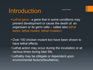 Lethals and mutations in poultry | PPTX