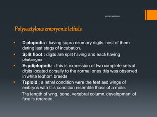 Lethals and mutations in poultry | PPTX