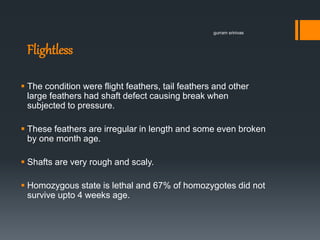 Lethals and mutations in poultry | PPTX
