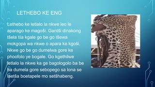 Lethebo final group presentation1 AFT220 | PPTX