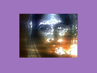 Letisha Anne White | PPT