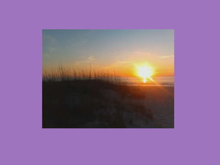 Letisha Anne White | PPT