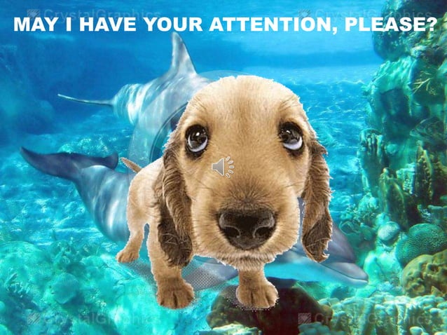 Let Me Introduce Myself | PPTX | Resume Writing and Advice | Job Search