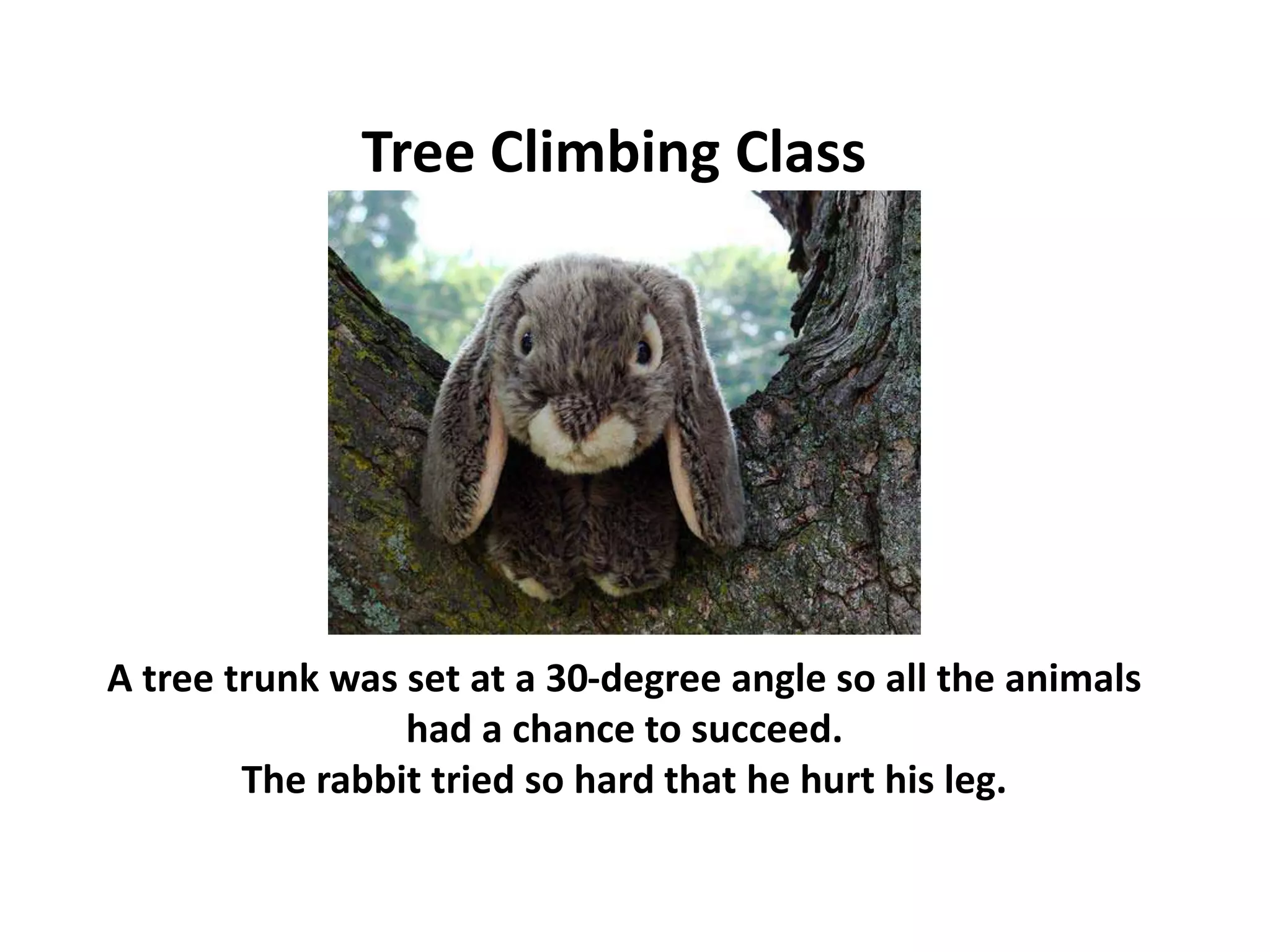 LET RABBITS RUN.ppt