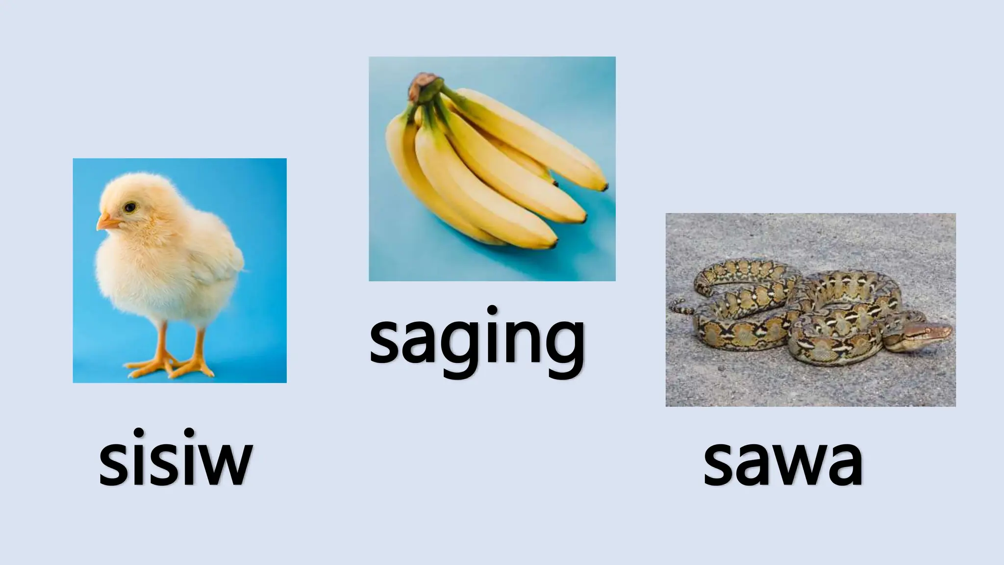 Mga tunog at mga titik Mm, Ss at Aa.pptx