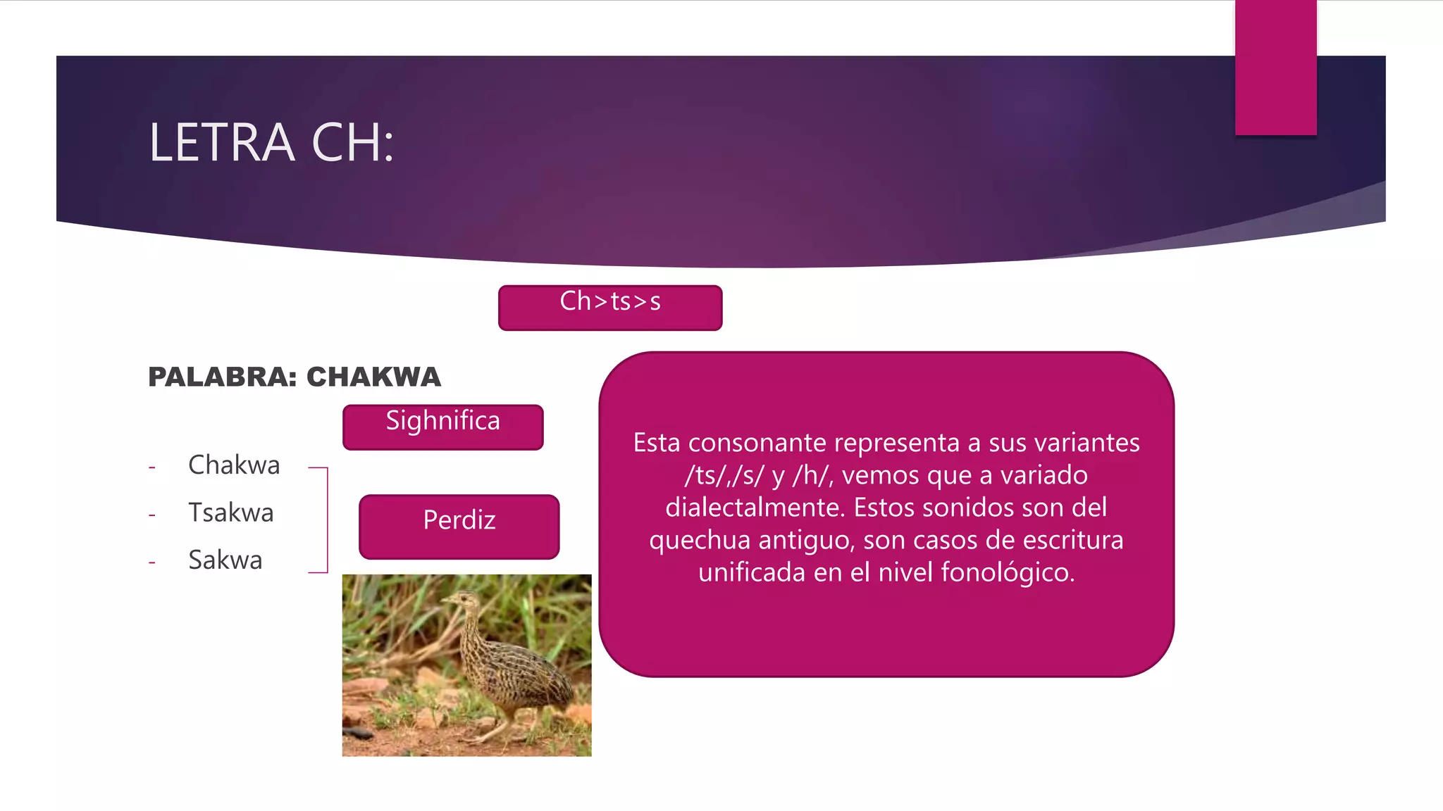 Letras consonanticas del quechua central | PPTX