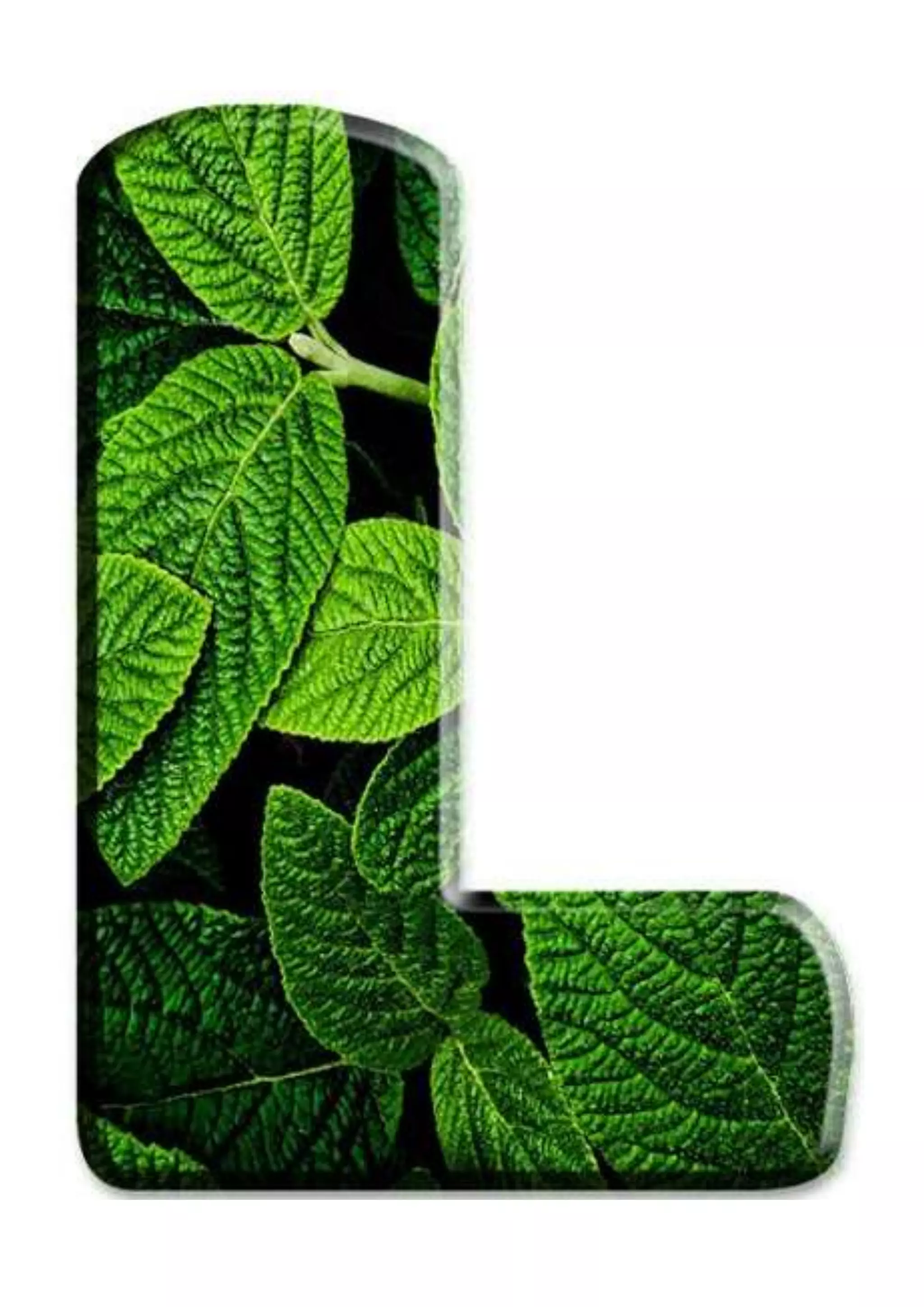 Letras de flora y fauna.pdf