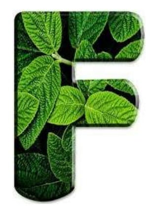 Letras de flora y fauna.pdf