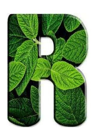 Letras de flora y fauna.pdf