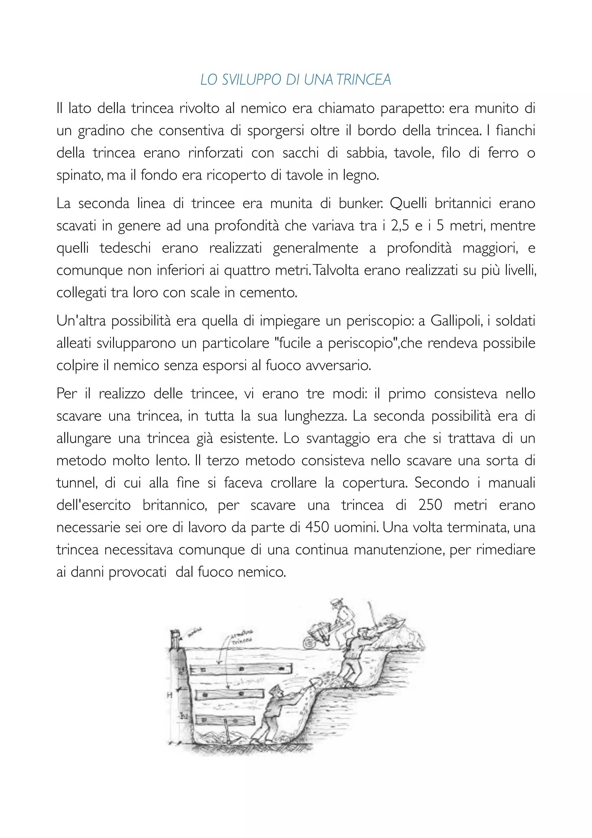 Le trincee: struttura e caratteristiche | PDF