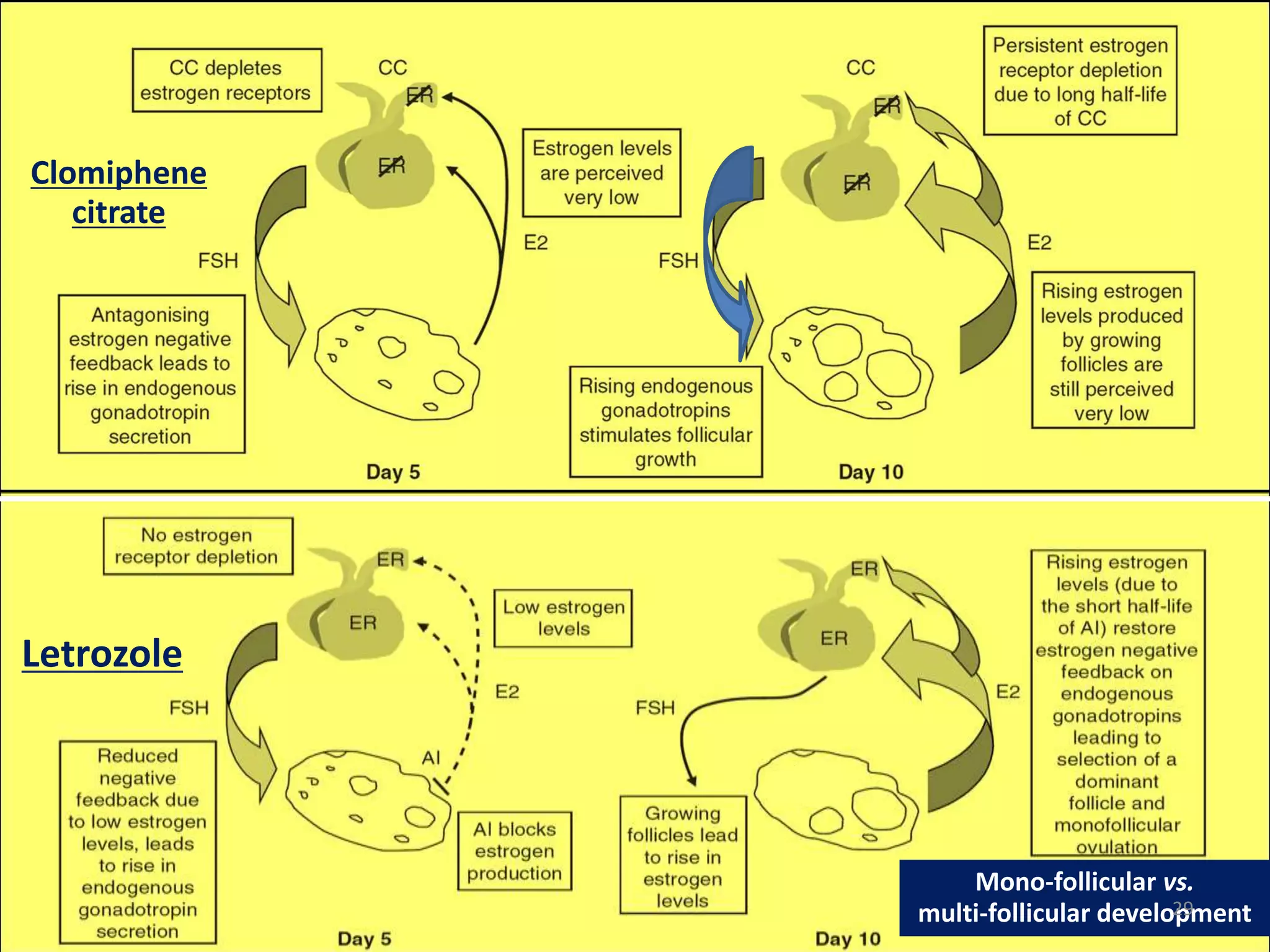 LETROZOLE - A WONDER DRUG FOR OVULATION INDUCTION BY DR SHASHWAT JANI ...