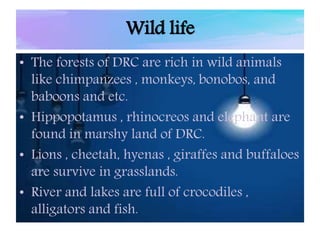 Let's discover DRC ppt by Nivedita mallik | PPT