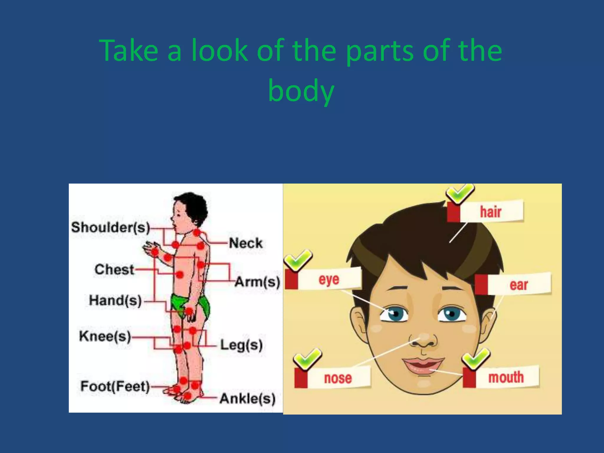 Let's explore the human body ppt | PPTX
