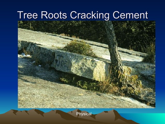 Weathering! | PPT