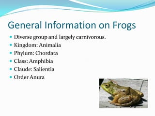Let’s learn about frogs! | PPTX | Reptiles | Pets