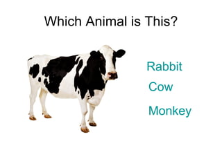 Let’S Learn Animals | PPT