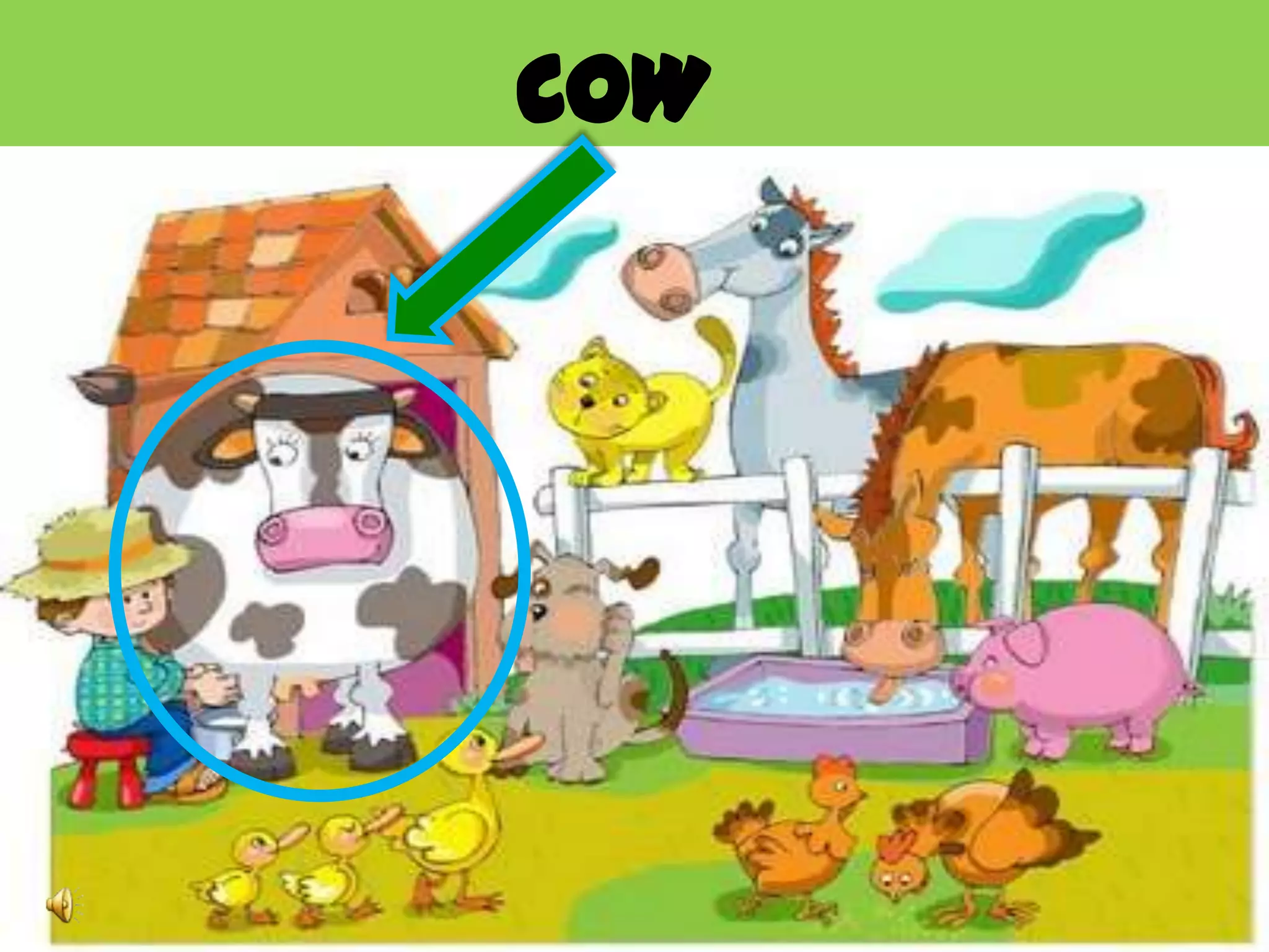 Let’s learn the animals! | PPTX | Birds | Pets