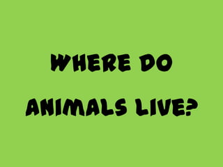 Let’s learn the animals! | PPTX