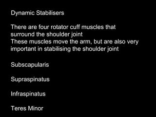 Slideshow: Shoulder Joint | PPT