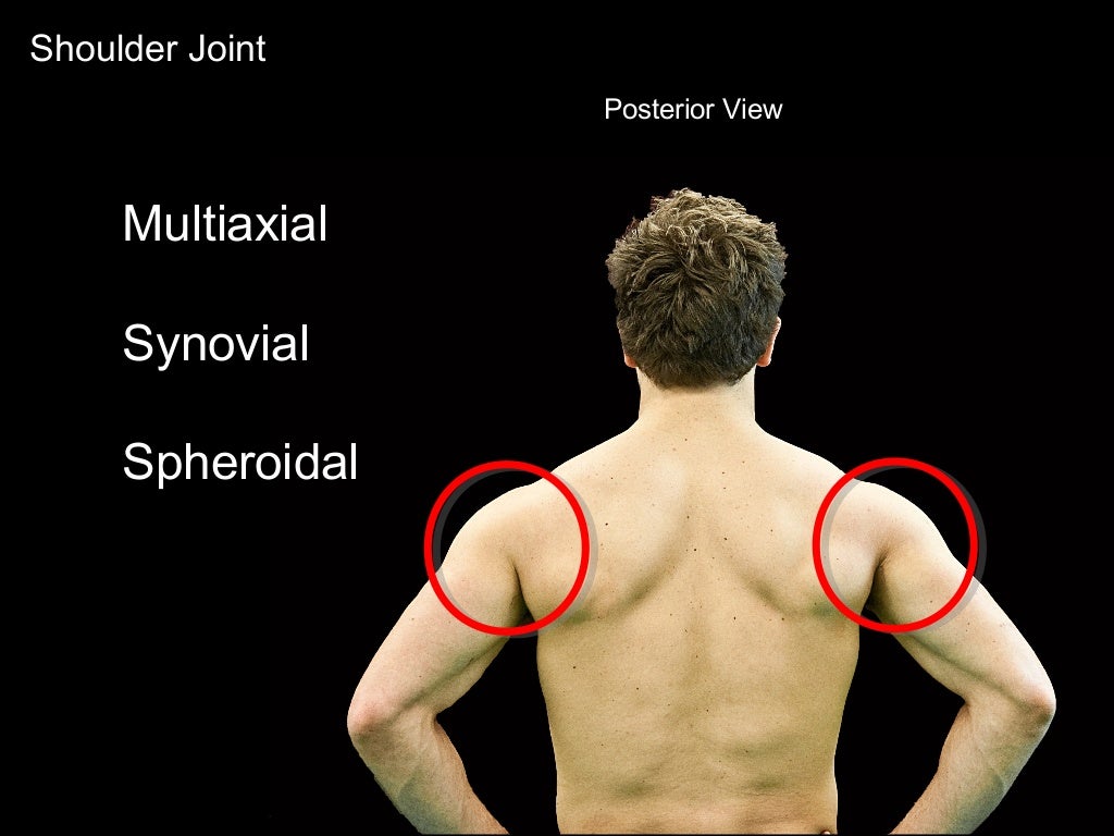 Slideshow Shoulder Joint slideshow-shoulder-joint