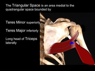Quadrangular Space Drawing